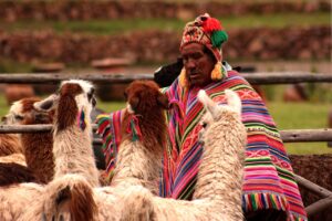 What Language Do They Speak in Peru? - Explorify Expeditions